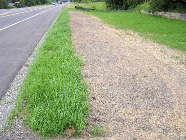 Perlite for Water Quality Management - Perlite Institute