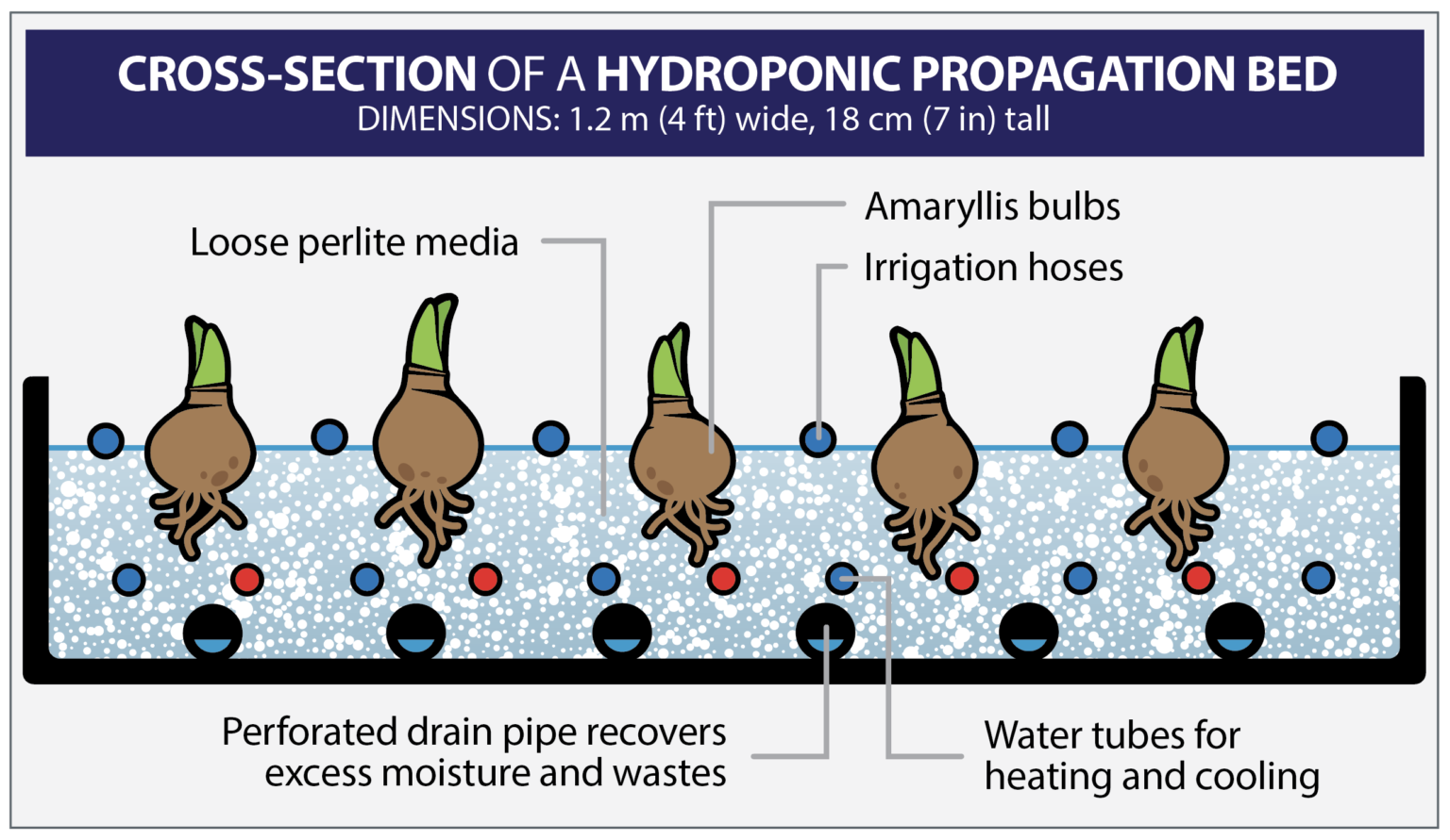 The Role of Perlite in Hydroponic Culture - Perlite Institute