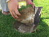 Perlite for Lawns and Gardens - Perlite Institute