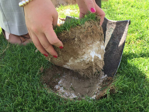 Perlite for Lawns and Gardens - Perlite Institute