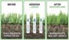 Perlite for Lawns and Gardens - Perlite Institute
