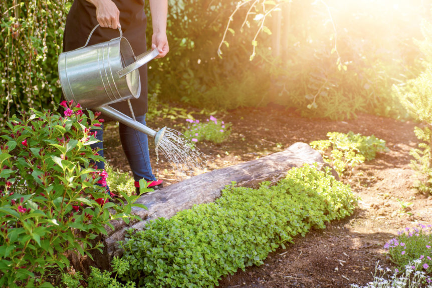 Perlite for Lawns and Gardens - Perlite Institute