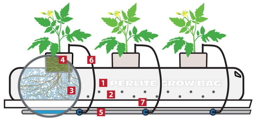 Perlite Grow Bags - Perlite Institute