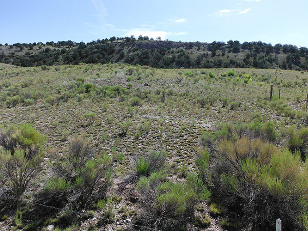 Perlite: The Most Sustainable Insulation Solution for Buildings ...