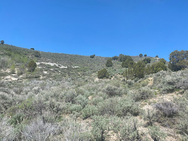 Perlite: The Most Sustainable Insulation Solution for Buildings ...